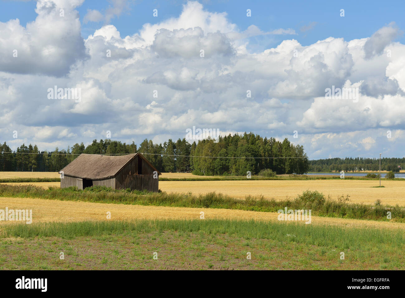 Rural landscape with field and barn. Finland Stock Photo - Alamy