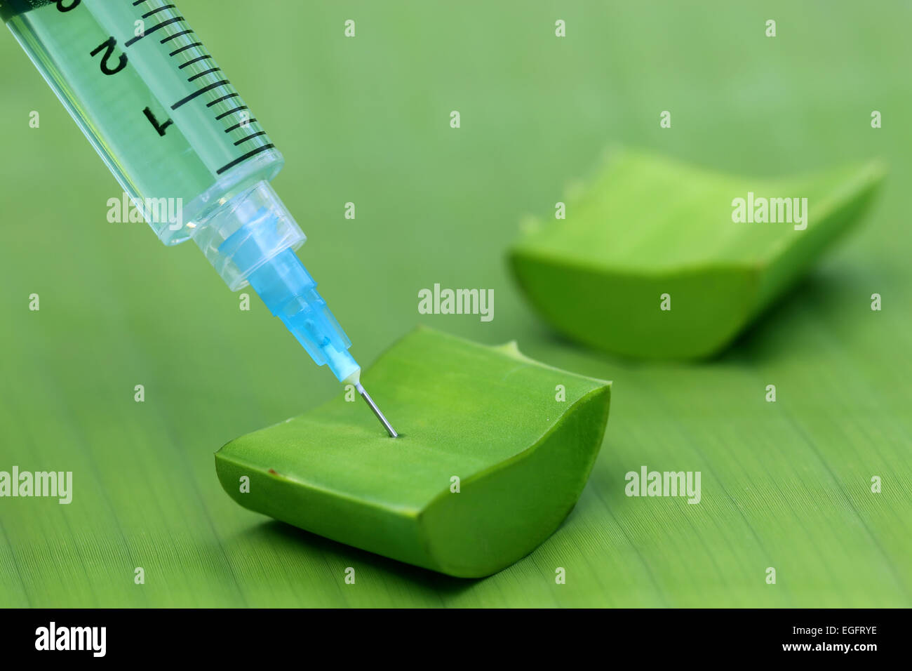 Close up of Injection syringe and fresh aloe vera Stock Photo - Alamy
