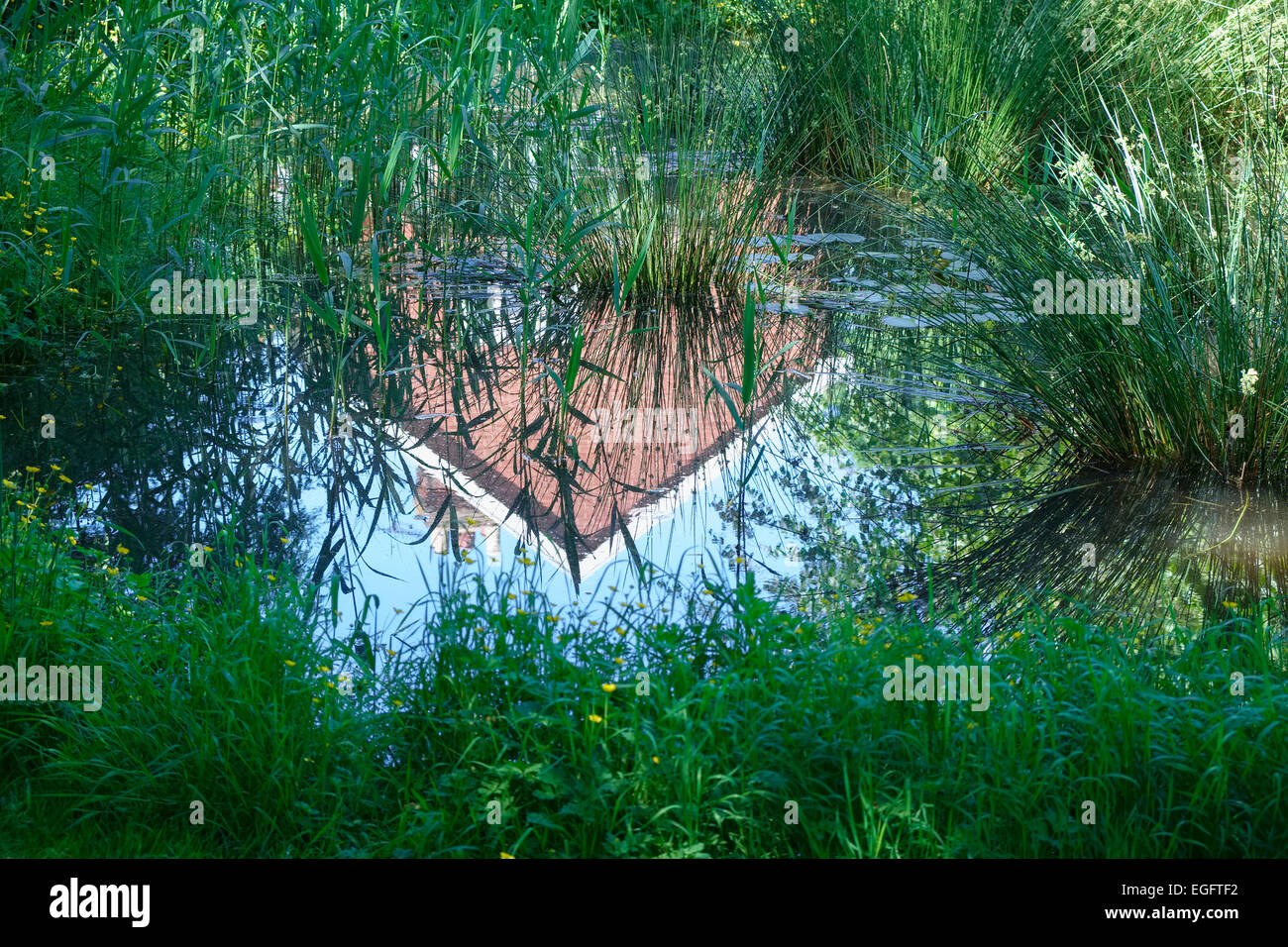 House reflection in the pond hi-res stock photography and images - Alamy