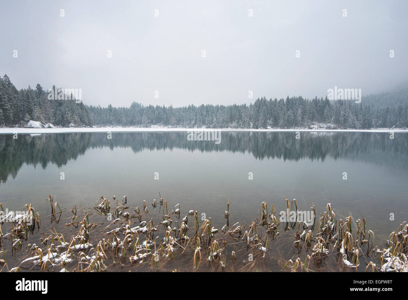 Winter at Hintersee, Berchtesgaden National Park, Berchtesgaden ...