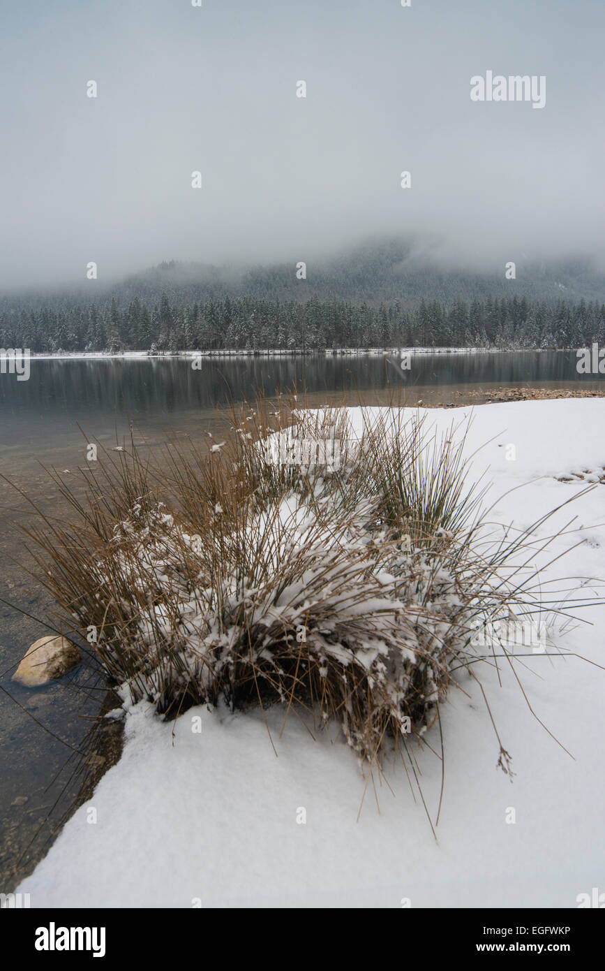 Winter at Hintersee, Berchtesgaden National Park, Berchtesgaden ...