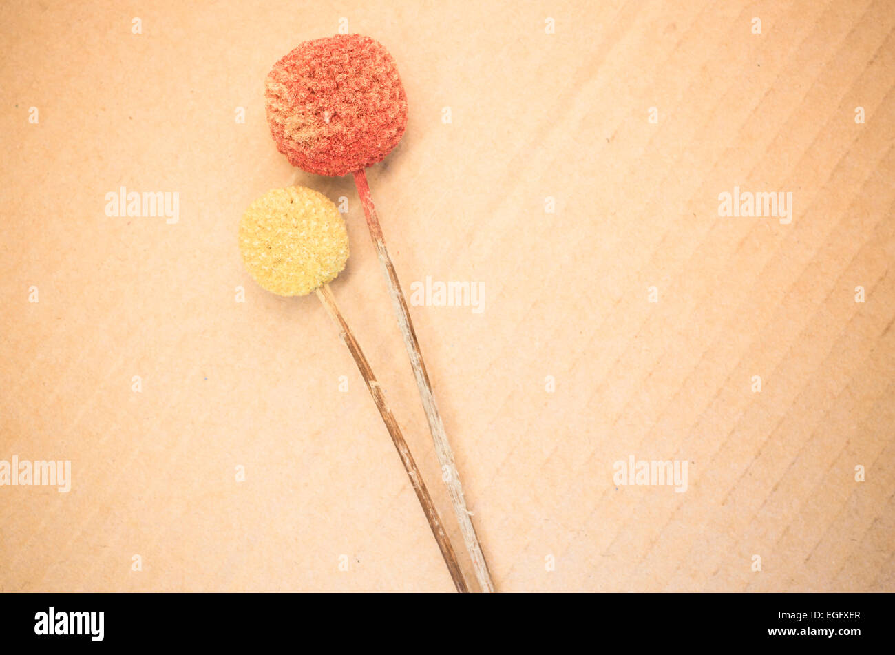 Billy buttons hi-res stock photography and images - Alamy