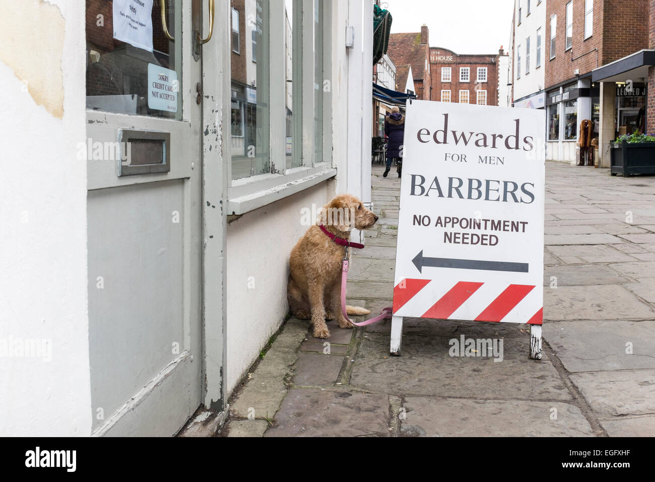 Funny barber sign hi-res stock photography and images - Alamy