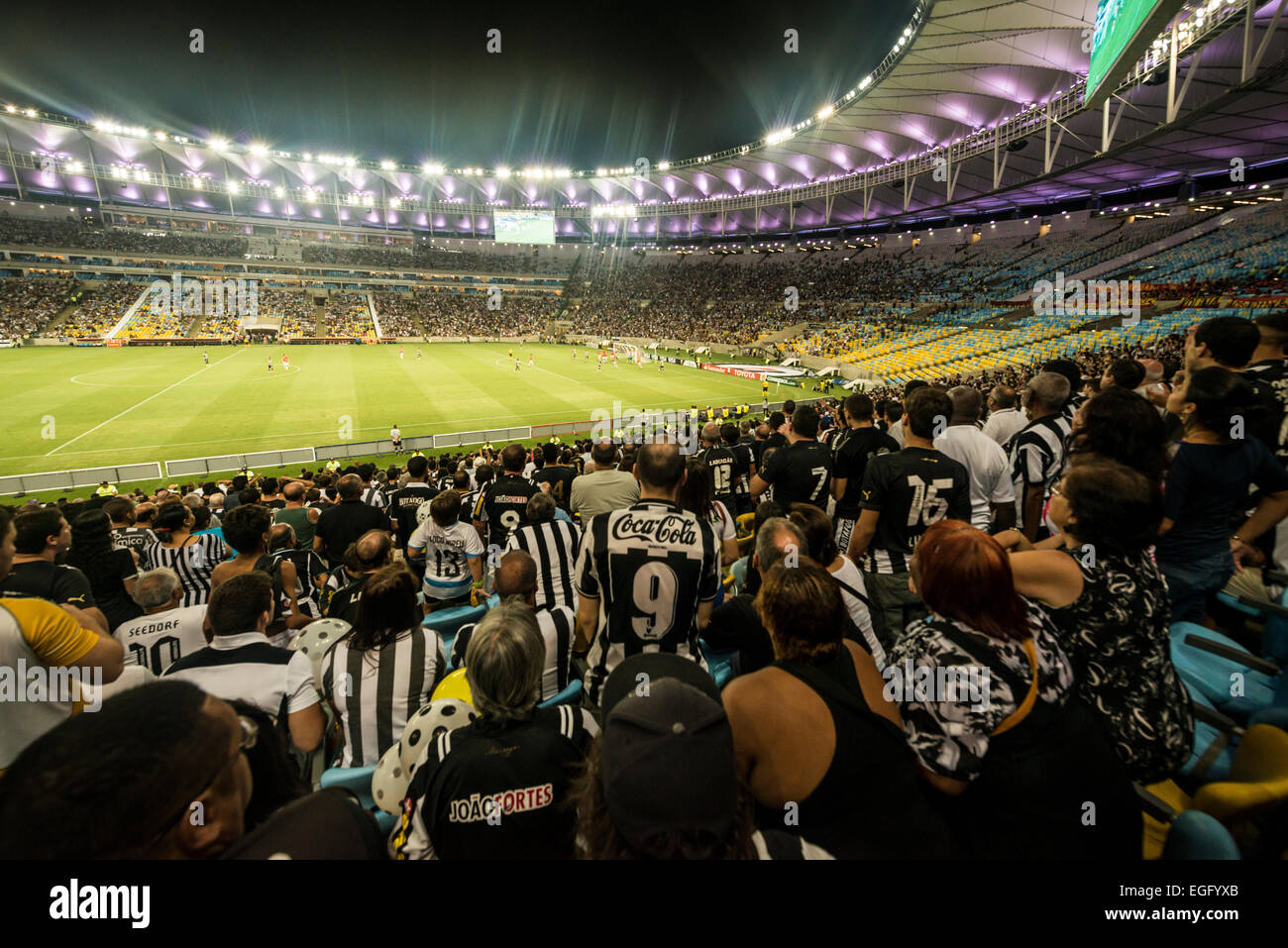 Brazil football stadium fans hi-res stock photography and images - Alamy