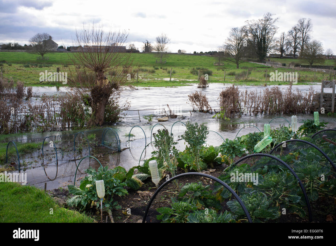 Uk veg fields flooded hi-res stock photography and images - Alamy