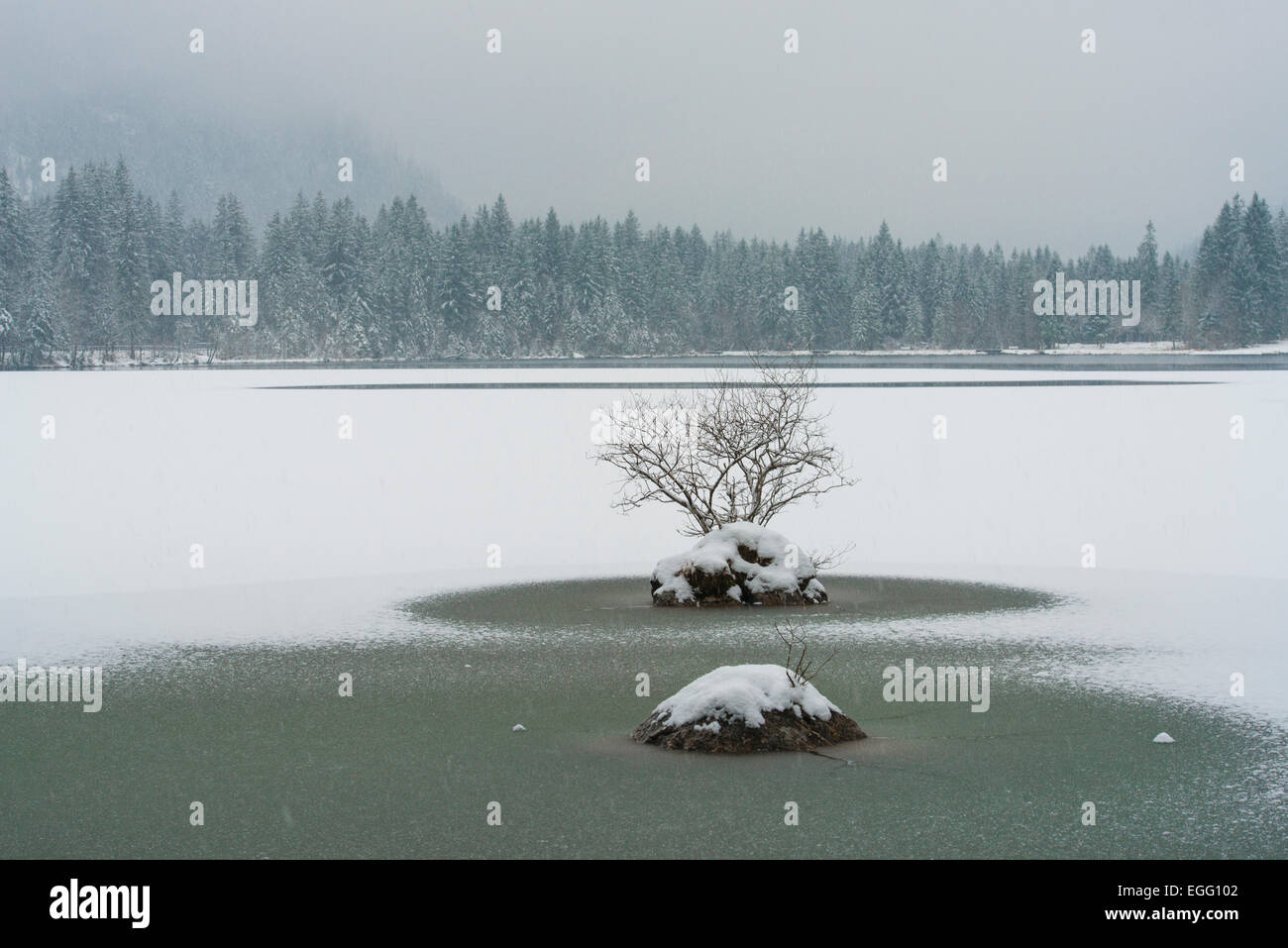 Winter at Hintersee, Berchtesgaden National Park, Berchtesgaden ...