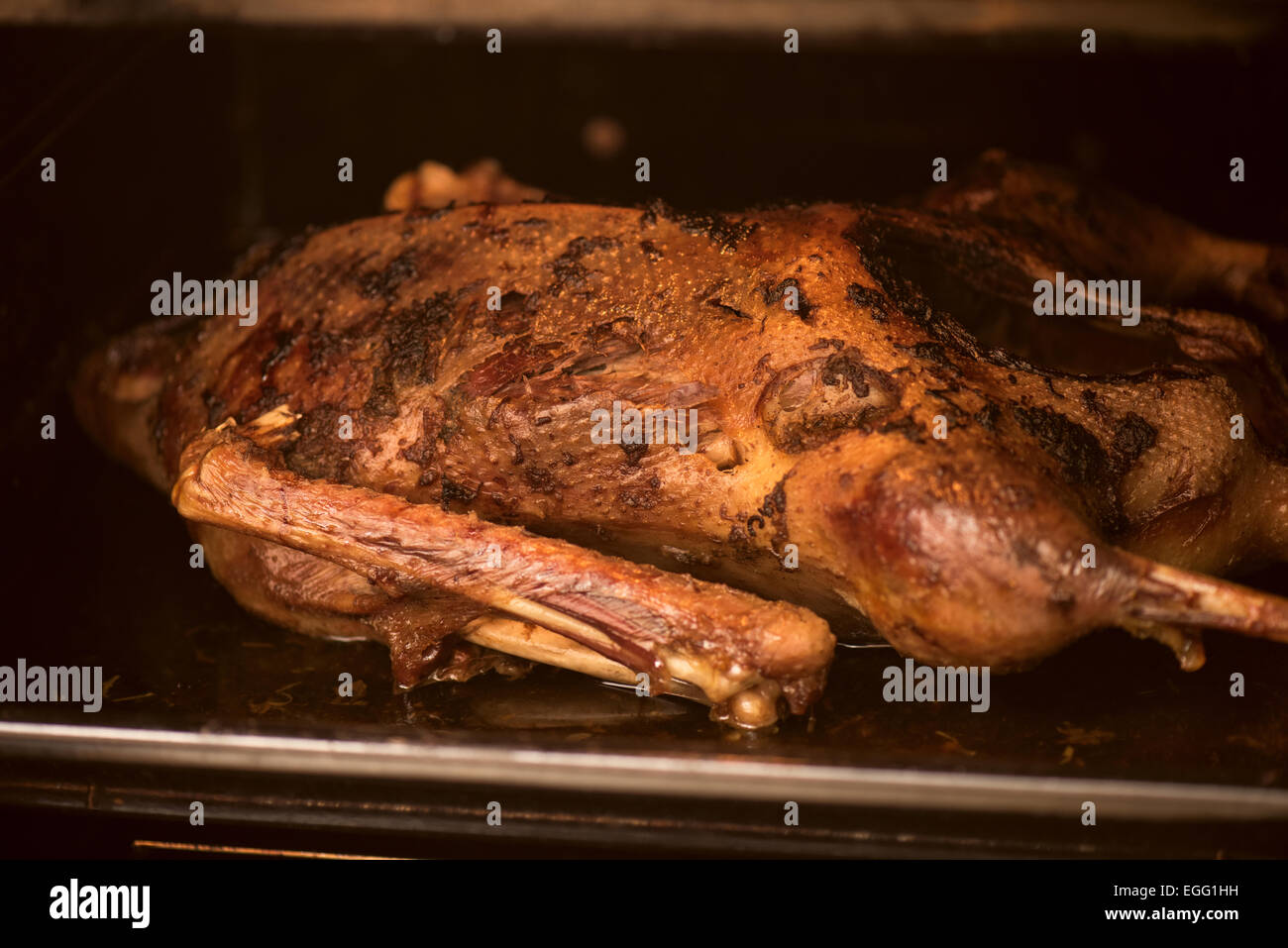 Tray raw goose meat hi-res stock photography and images - Alamy