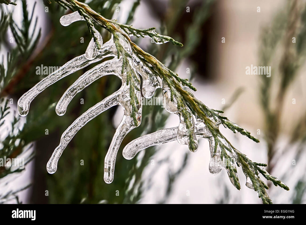 Big icicles hi-res stock photography and images - Alamy