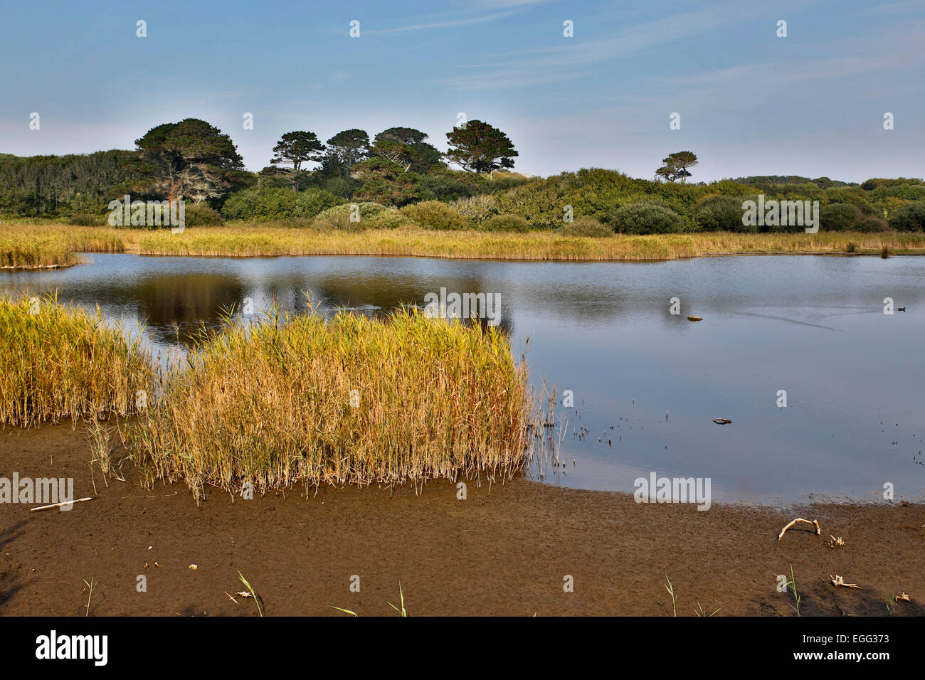 Porth hellick pool hi-res stock photography and images - Alamy