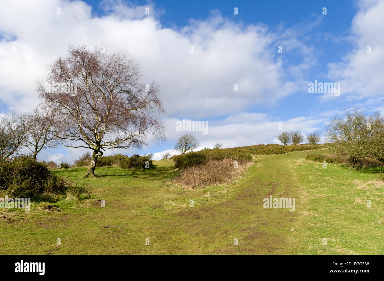 Table Hill, Malvern Hills, Worcestershire, England, UK in Winter Stock ...