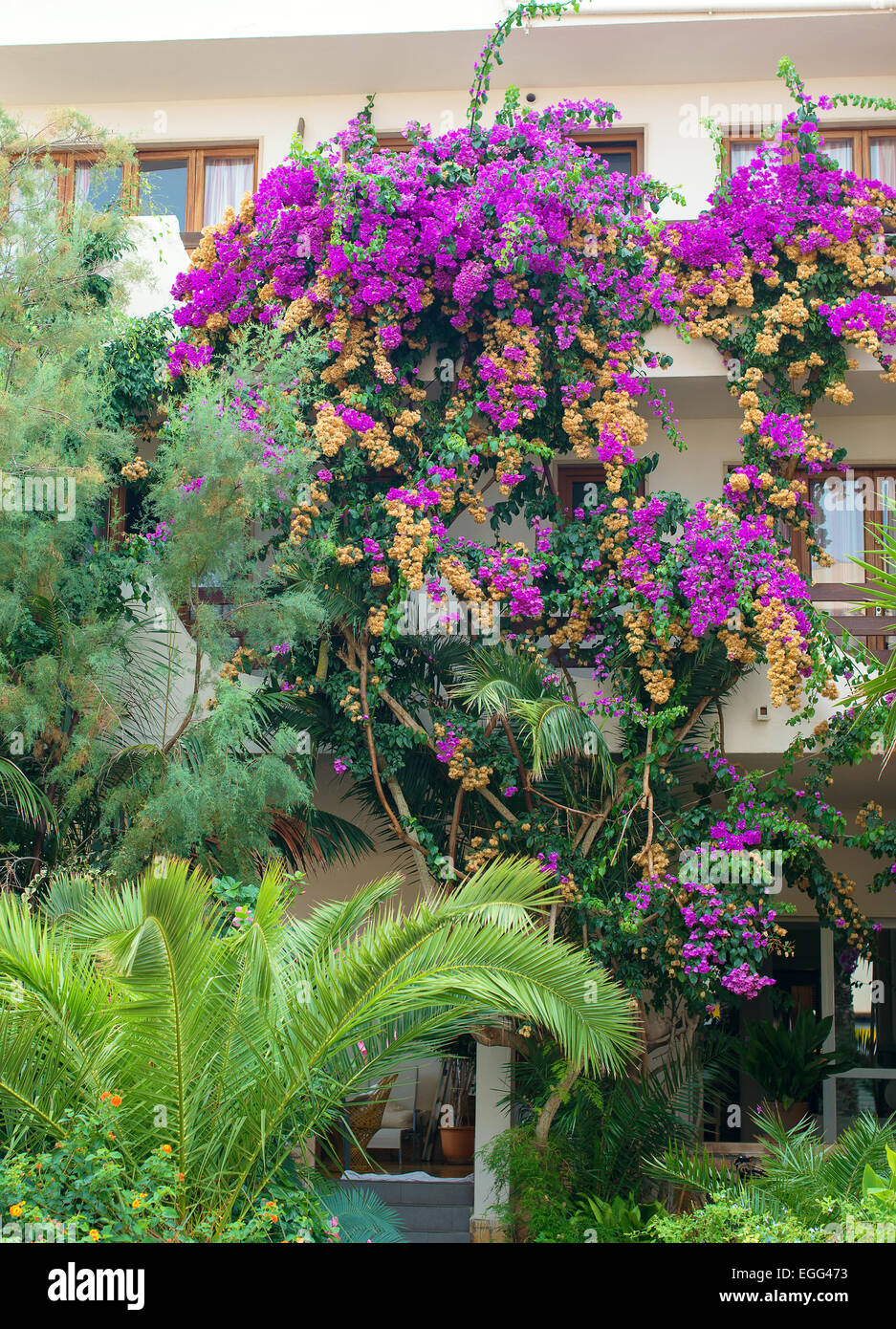 Portrait of house decorated with flowers Stock Photo - Alamy