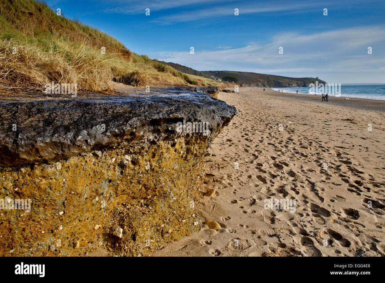 Praa Sands; Fossil Forest Cornwall; UK Stock Photo - Alamy