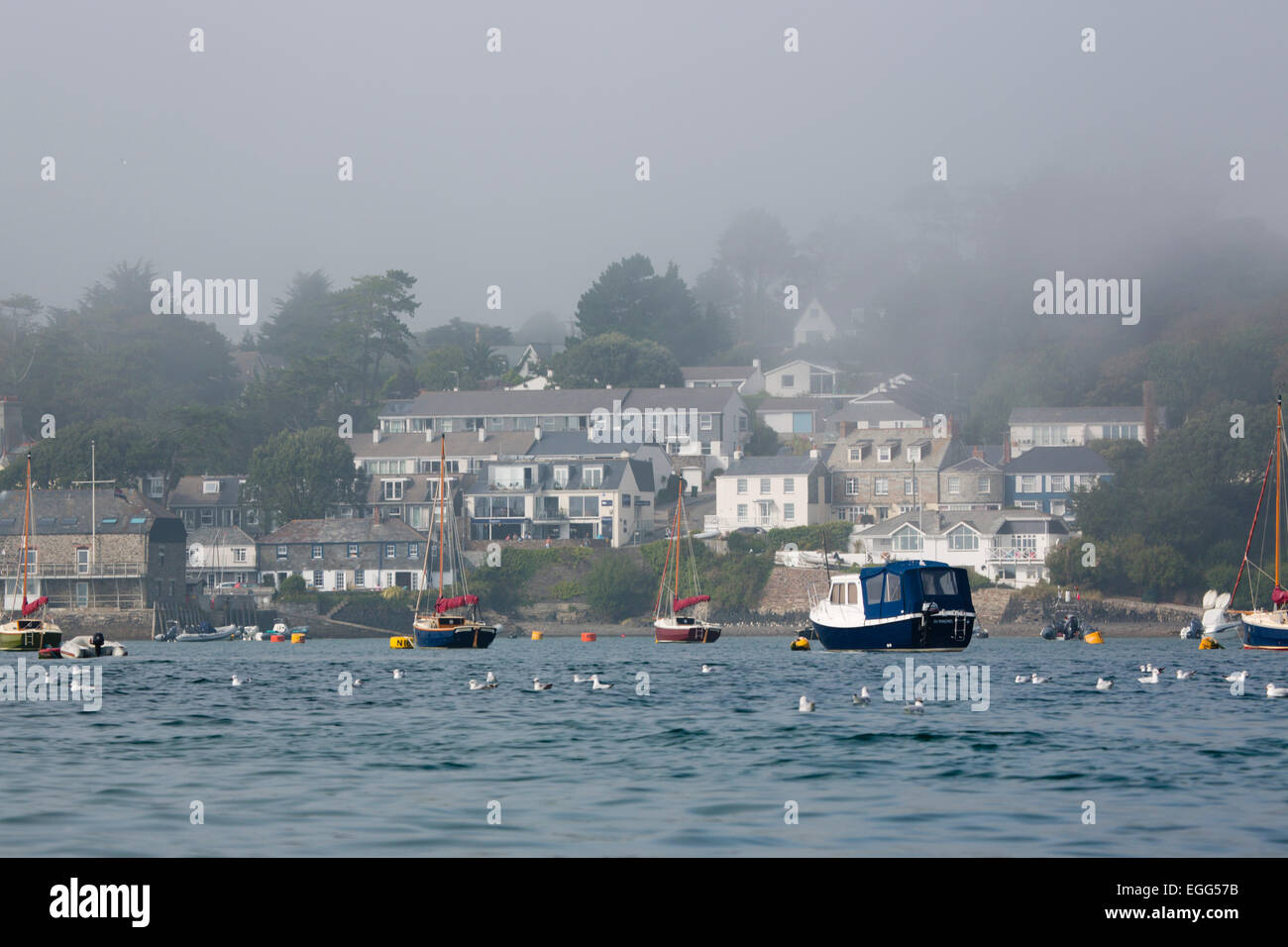 Rock; From the Camel Estuary Cornwall; UK Stock Photo - Alamy