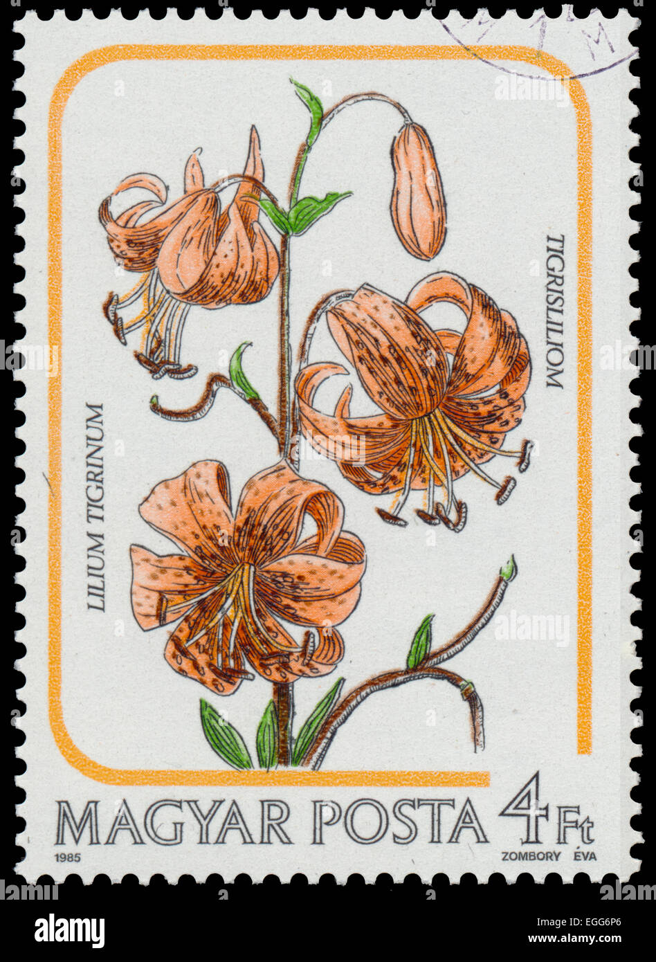 Lily stamp lily hi-res stock photography and images - Alamy