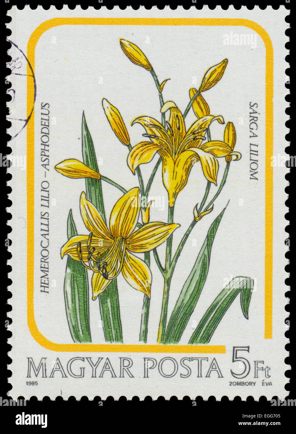 HUNGARY - CIRCA 1985: Stamp printed in the Hungary shows Daylily ...