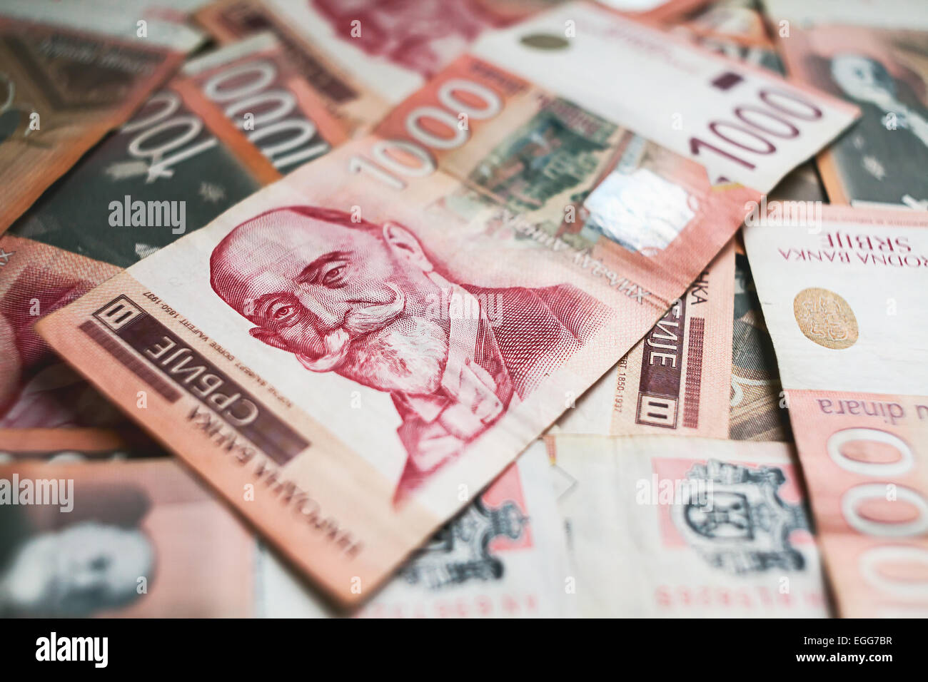 Serbian money, a thousand dinar banknotes Stock Photo - Alamy