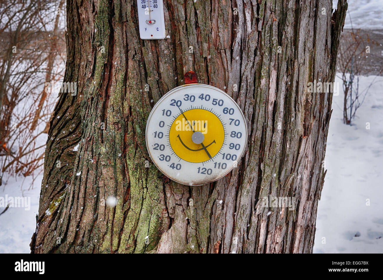 Smiley face thermometer on tree in winter Stock Photo - Alamy