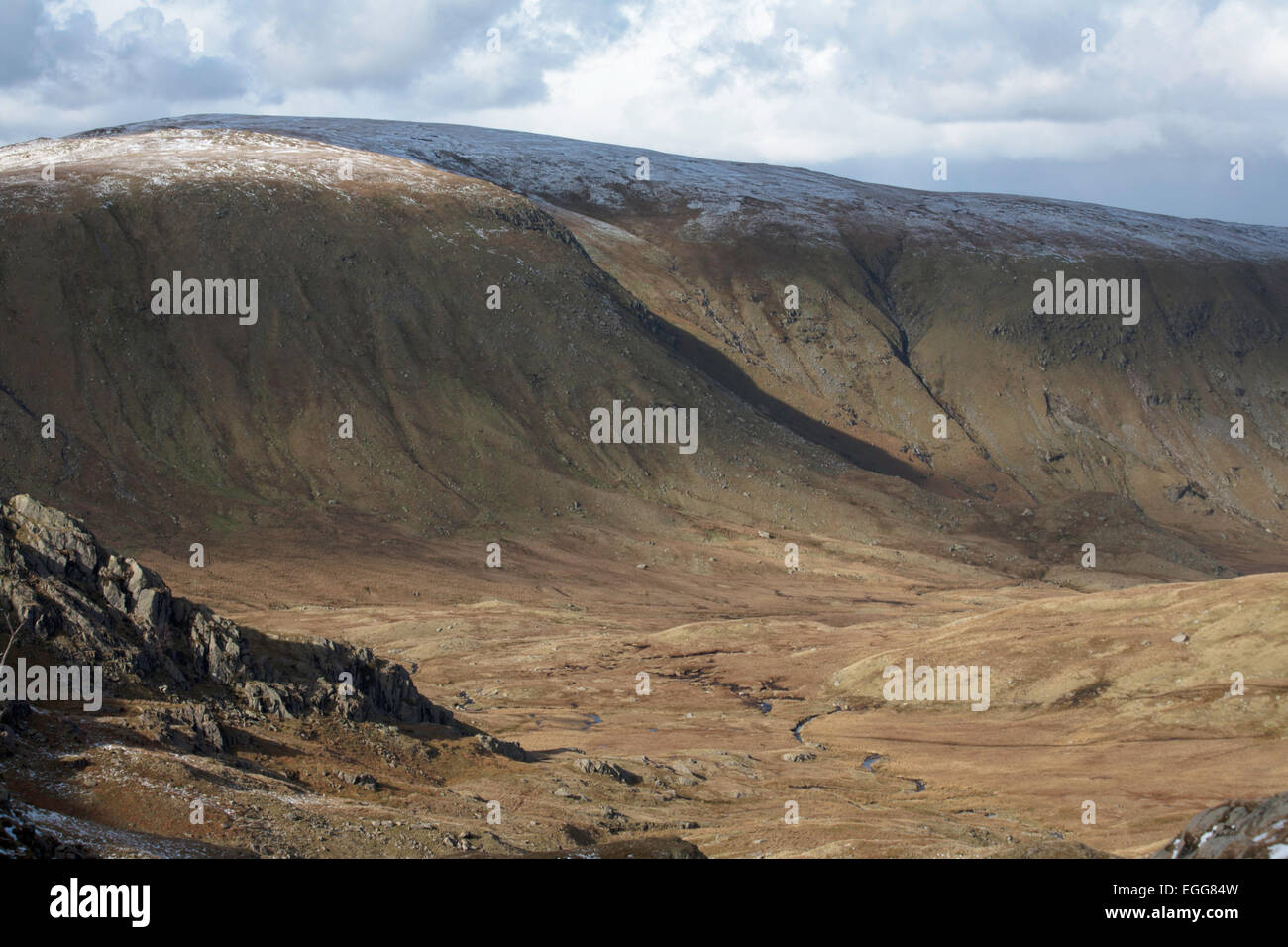 Codale head hi-res stock photography and images - Alamy