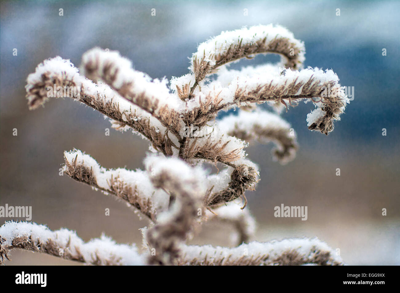 background beautiful beauty blue chill cold color colorful cool day ...