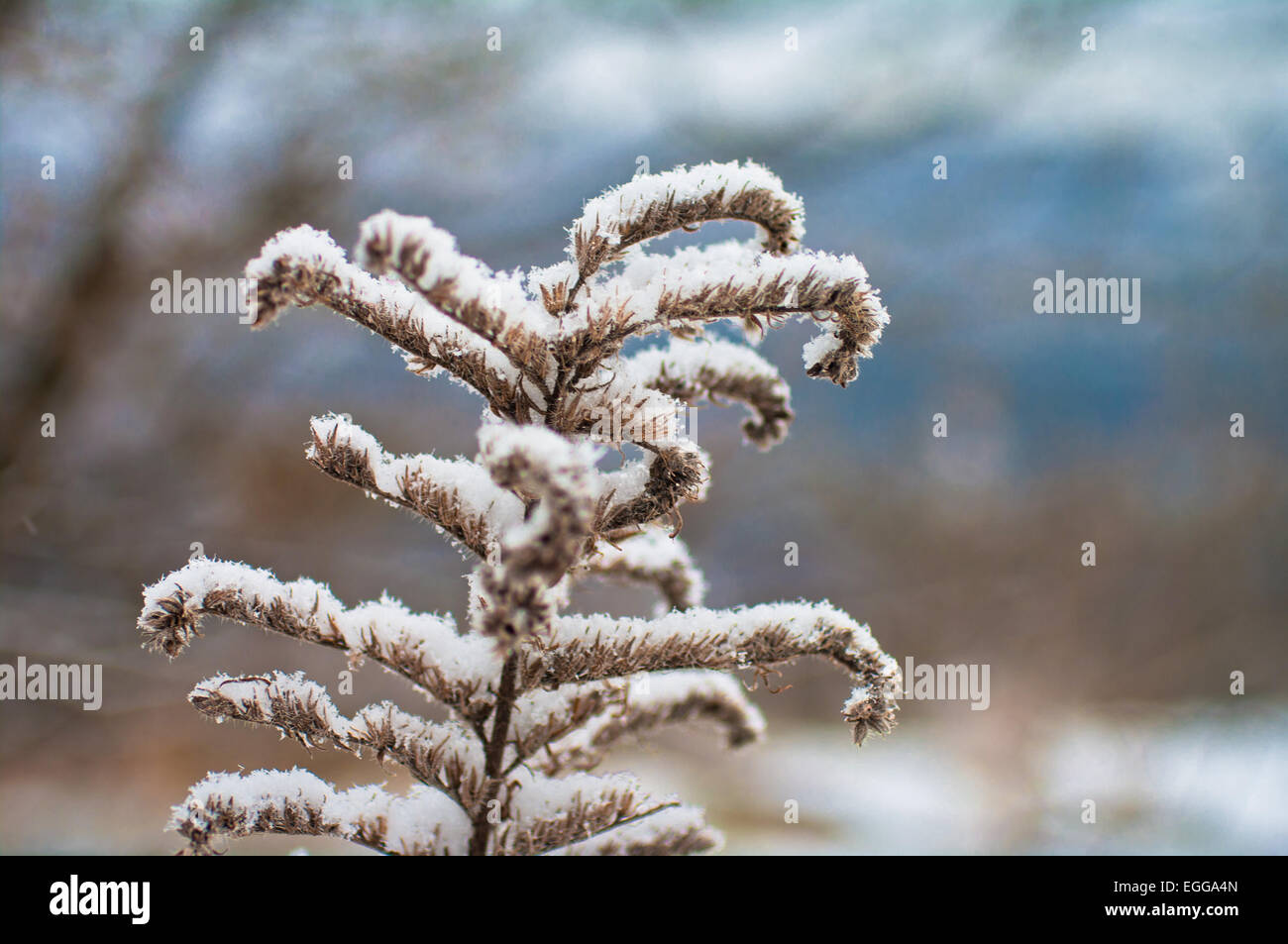 background beautiful beauty blue chill cold color colorful cool day ...