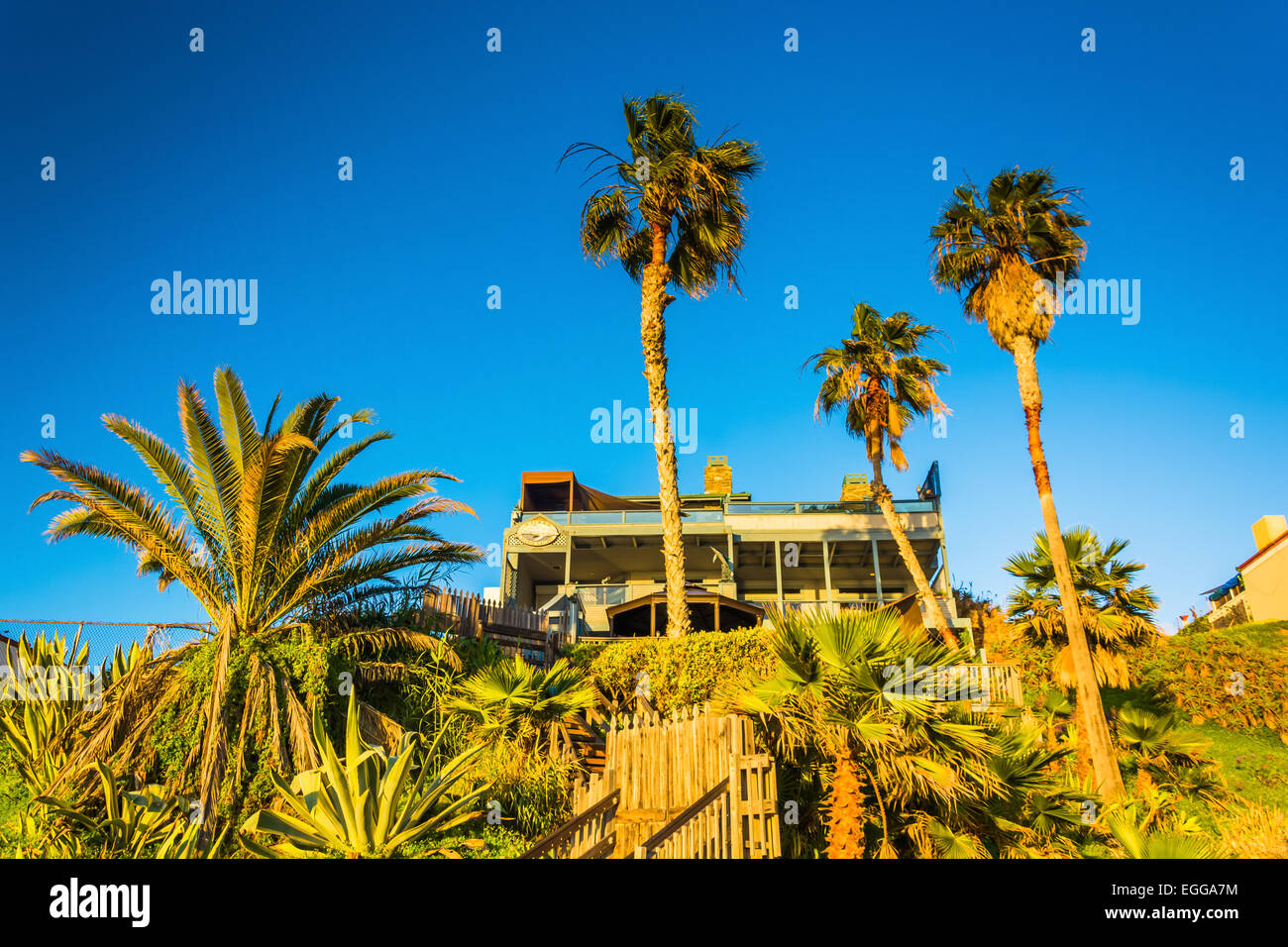 House and palm trees above the beach, Laguna Beach, California Stock ...