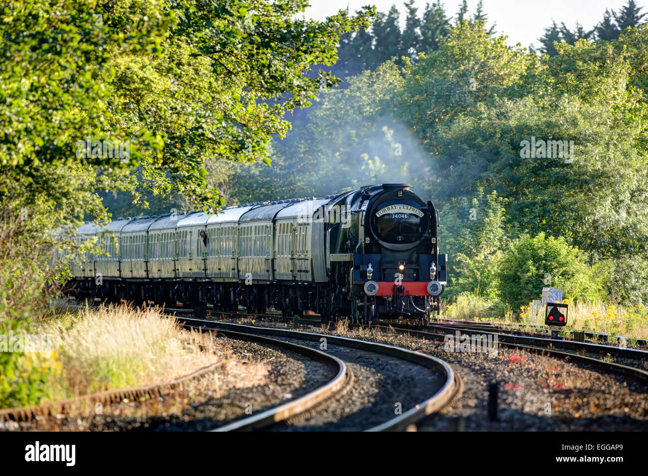 The Torbay Express passes through Bedminster Stock Photo - Alamy