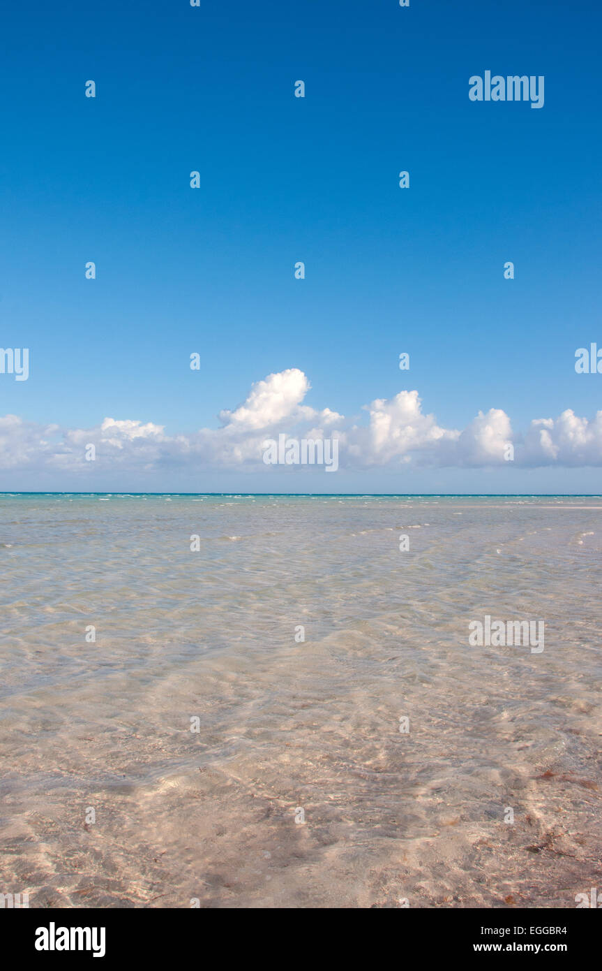 Cayo Coco Cuba beach Stock Photo - Alamy