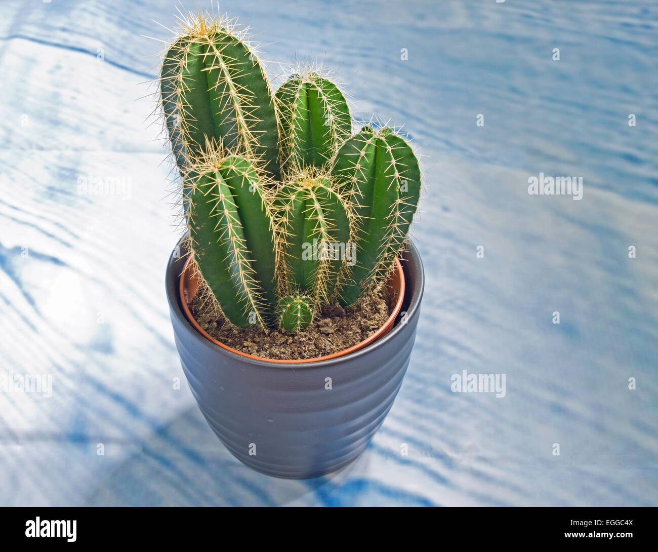 Clear background hi-res stock photography and images - Alamy