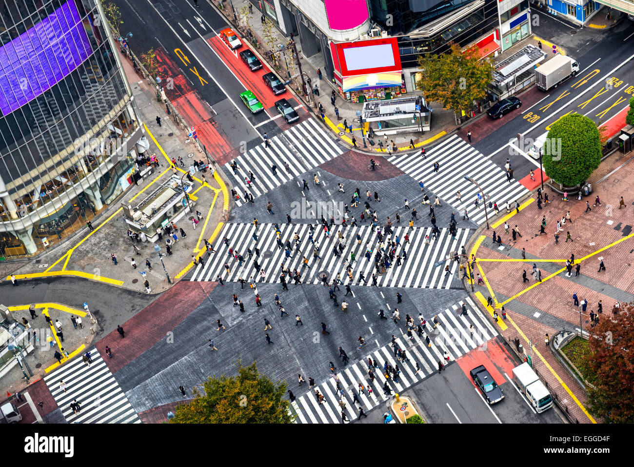 Zebra crossing in japan hi-res stock photography and images - Alamy