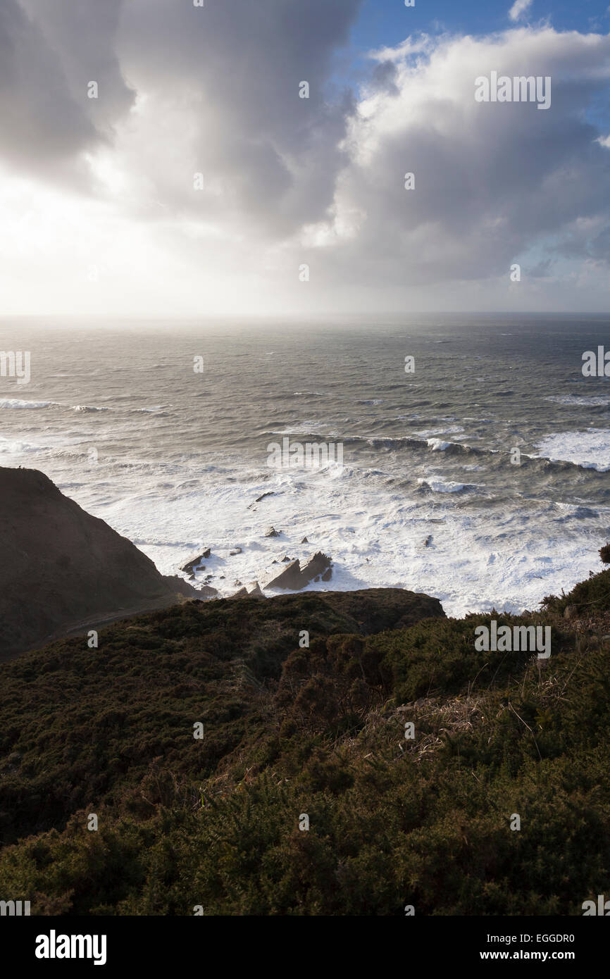 Cornish Coast, Morwenstow, Cornwall, England, UK Stock Photo - Alamy
