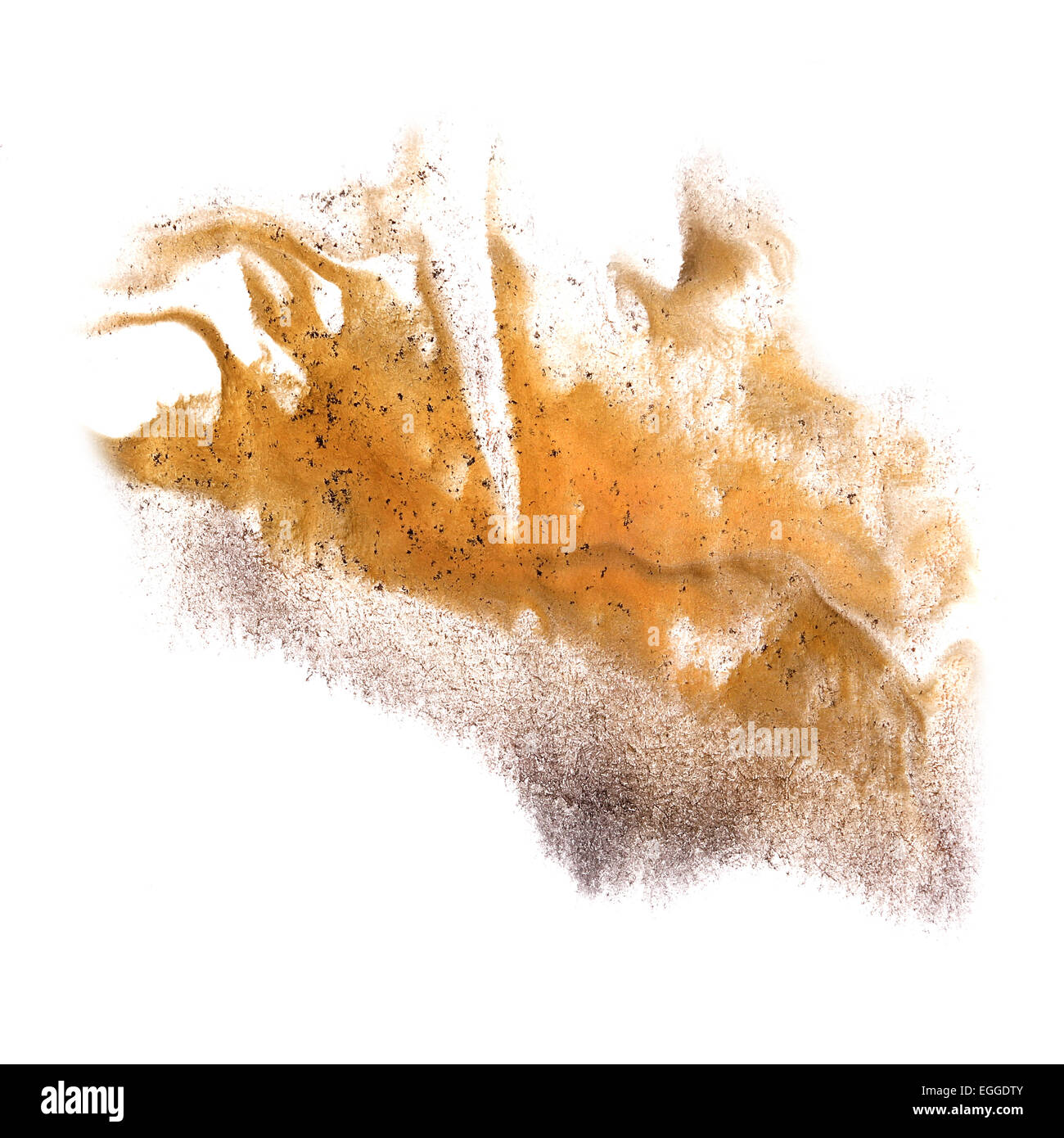 ink blot brown, gray splatter background isolated on white hand Stock ...