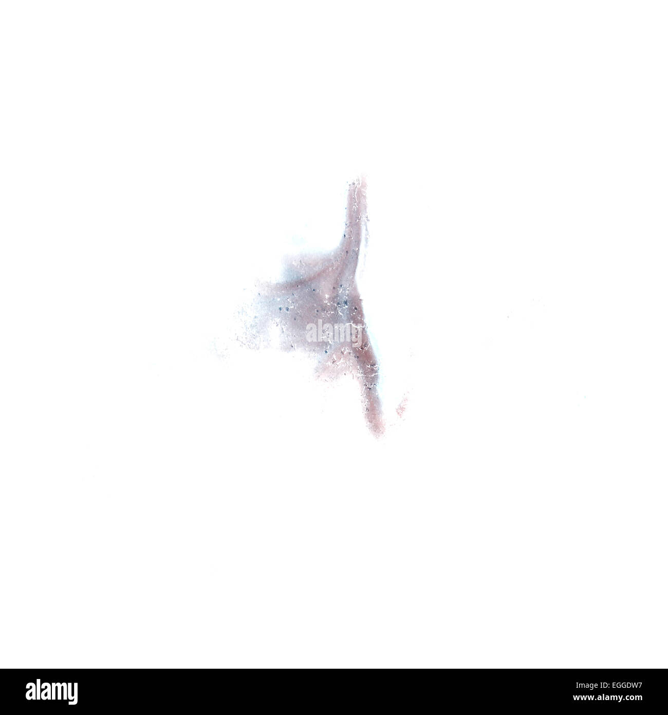 ink blot gray splatter background isolated on white hand painted Stock ...