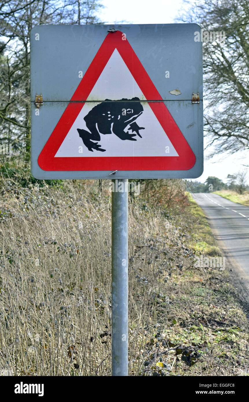 Frog crossing hi-res stock photography and images - Alamy