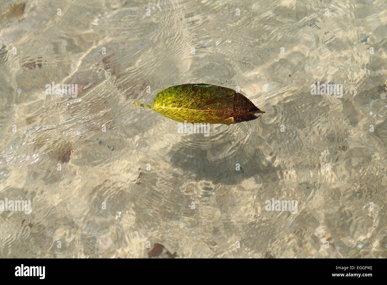 Beautiful large sheet of water photographed closeup Stock Photo - Alamy