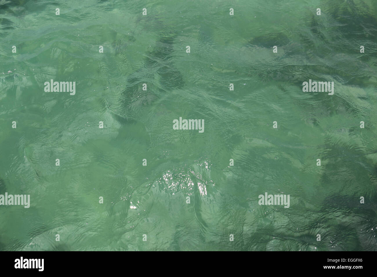 Sea water is turquoise photographed close up Stock Photo - Alamy