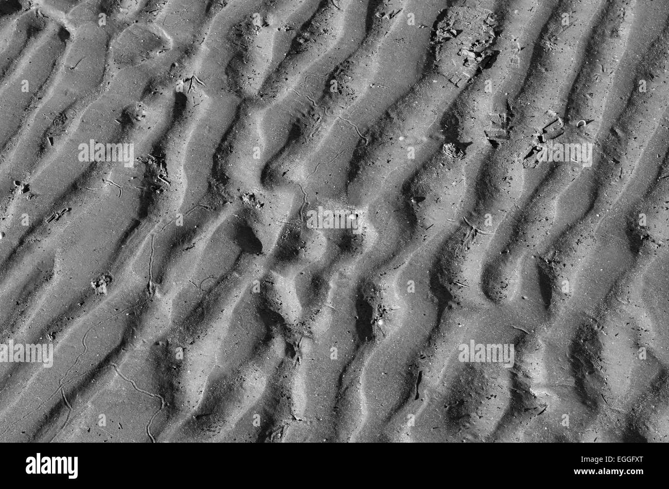 Rockliffe beach hi-res stock photography and images - Alamy