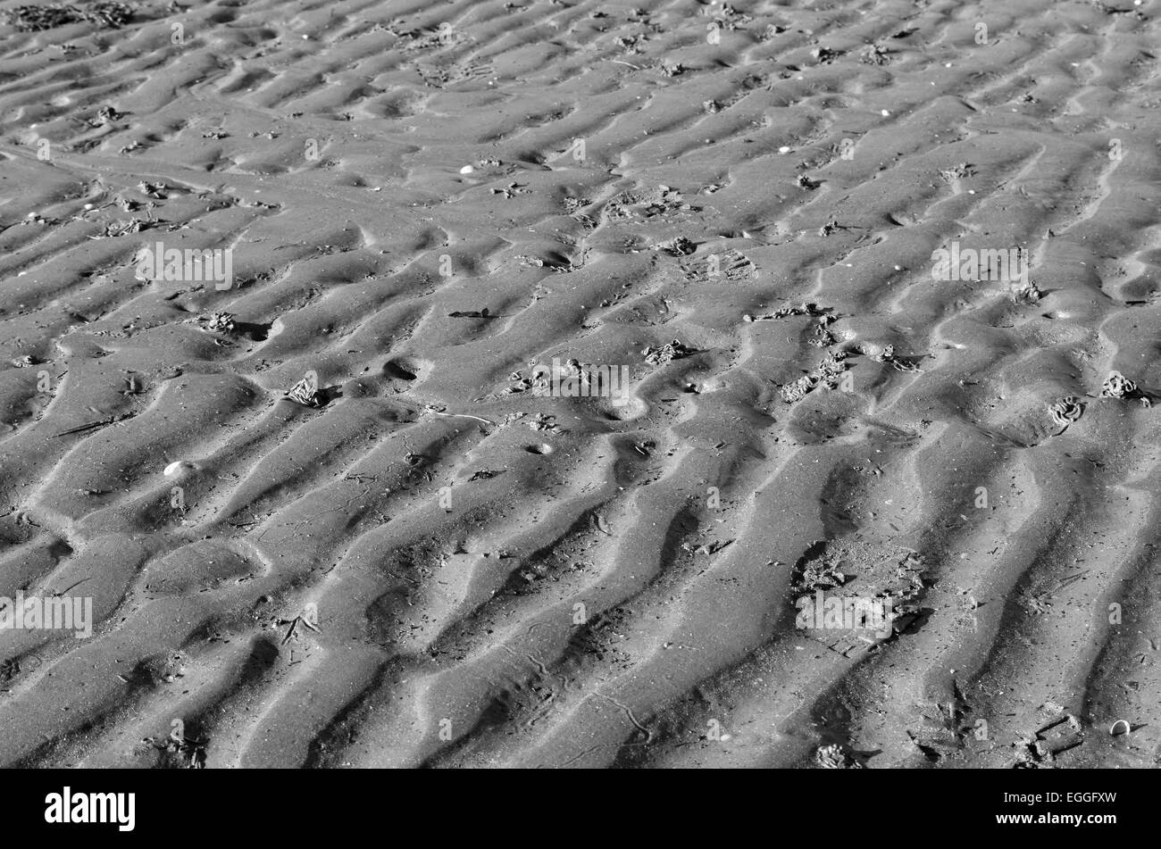 Sand ripple patterns Black and White Stock Photos & Images - Alamy