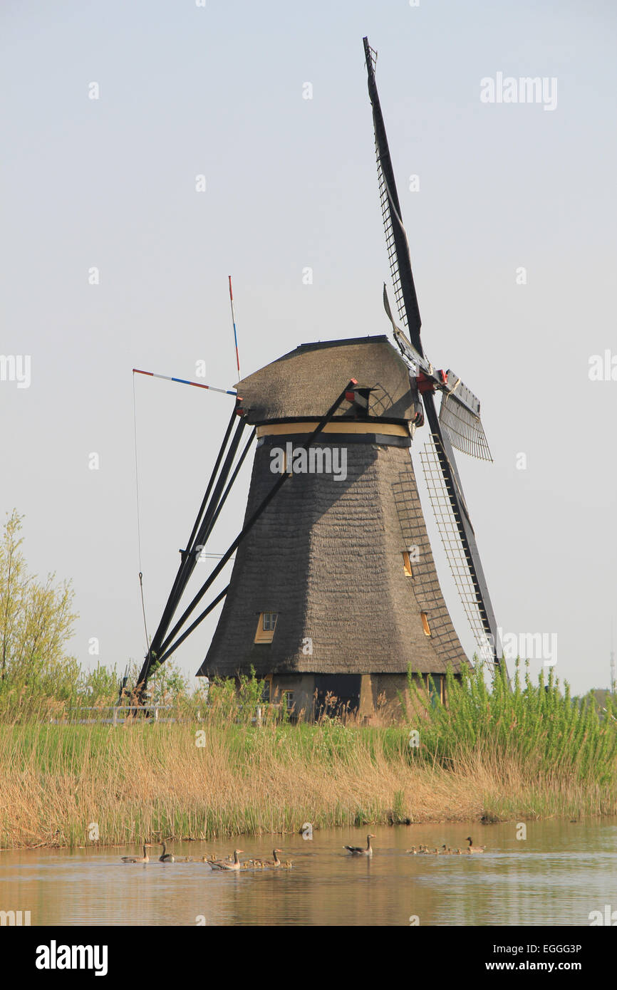 The Dutch windmill. Dutch countryside landscape with the windmill on ...