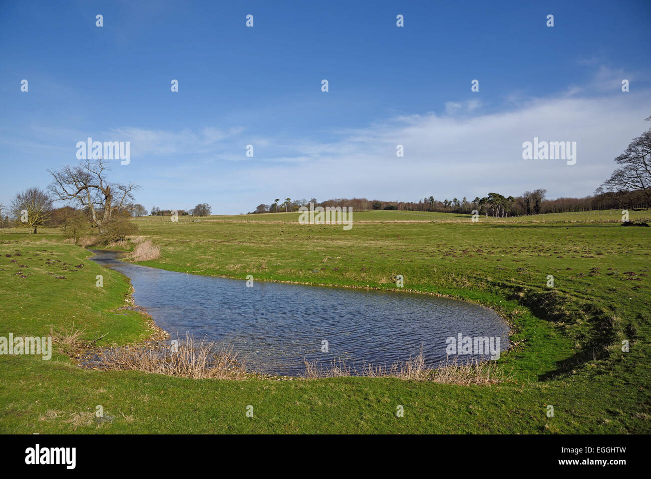 A chalk spring near Bishopsbourne Kent. After a short distance, this ...