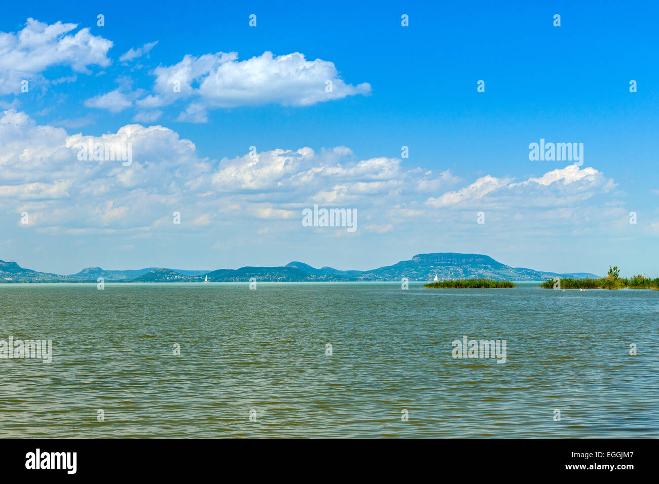Lake Balaton in Hungary in summer Stock Photo - Alamy