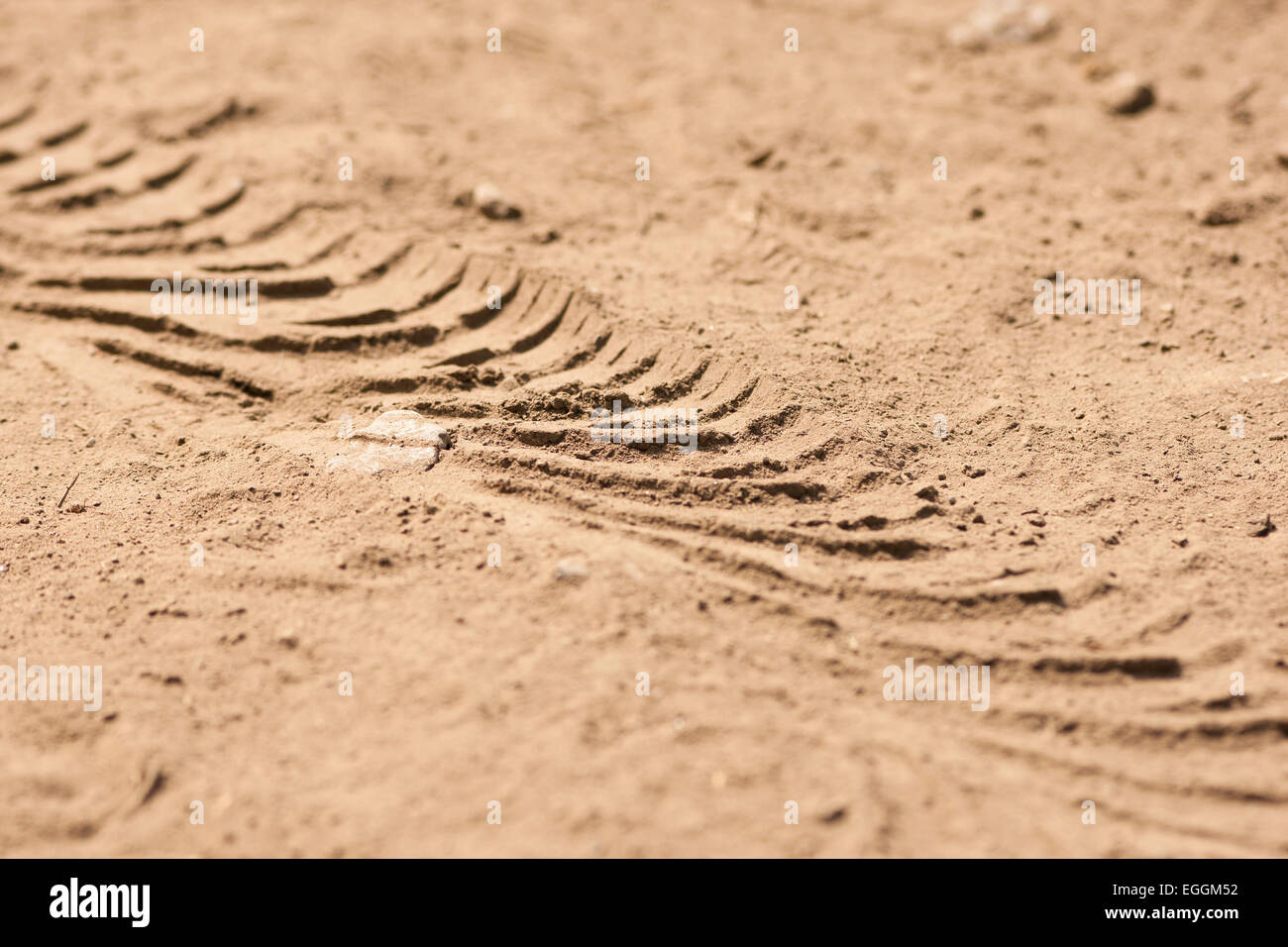 tyre track in desert sand Stock Photo - Alamy