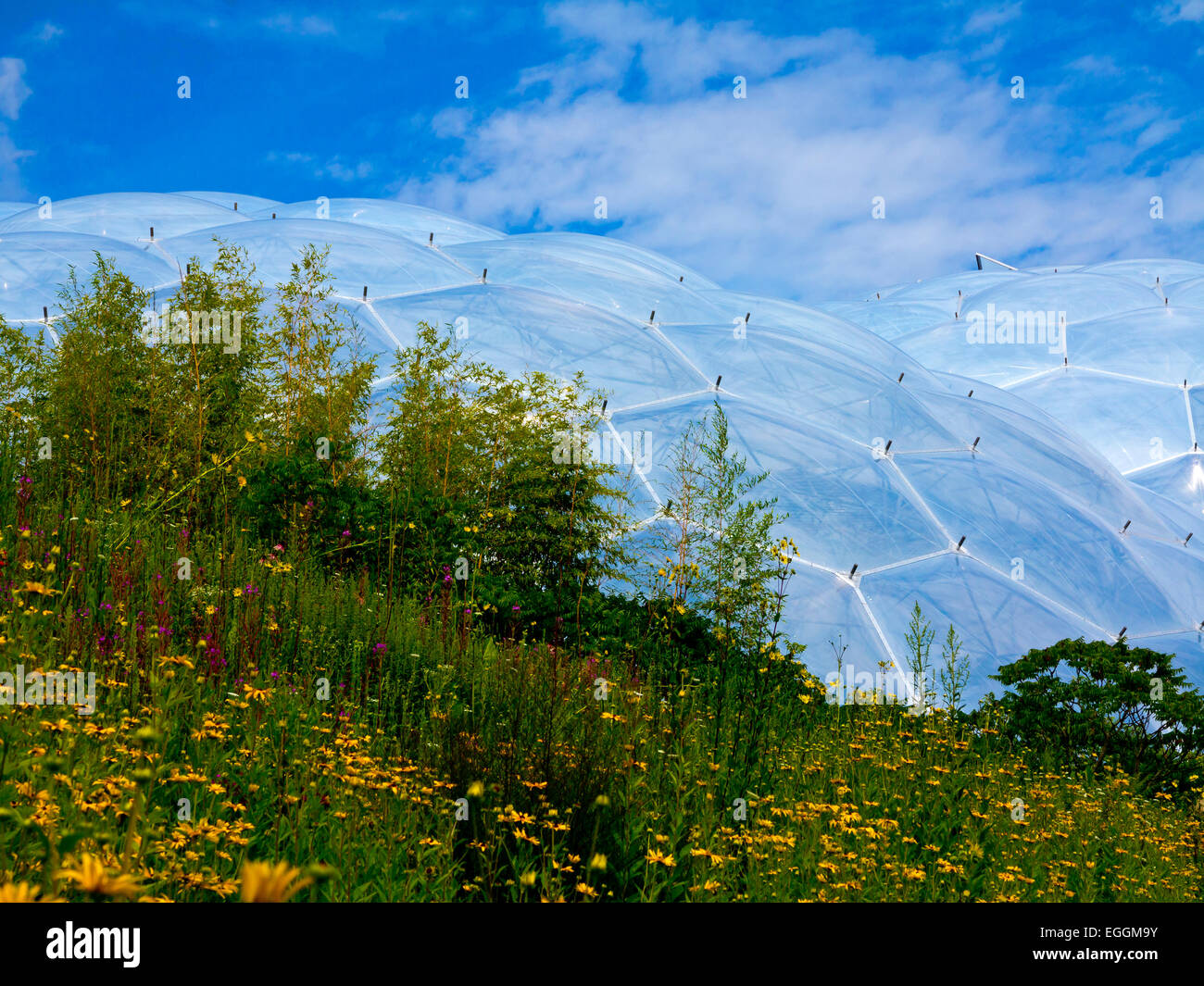 View of the geodesic biome domes at the Eden Project near St Austell in ...
