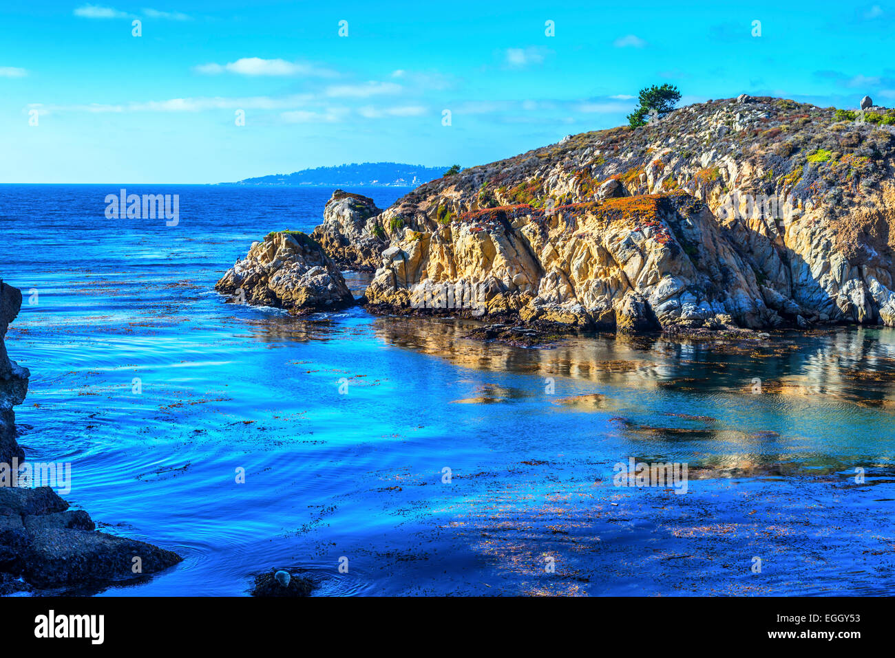 View of the ocean and rocky coastline at the Point Lobos State Reserve ...