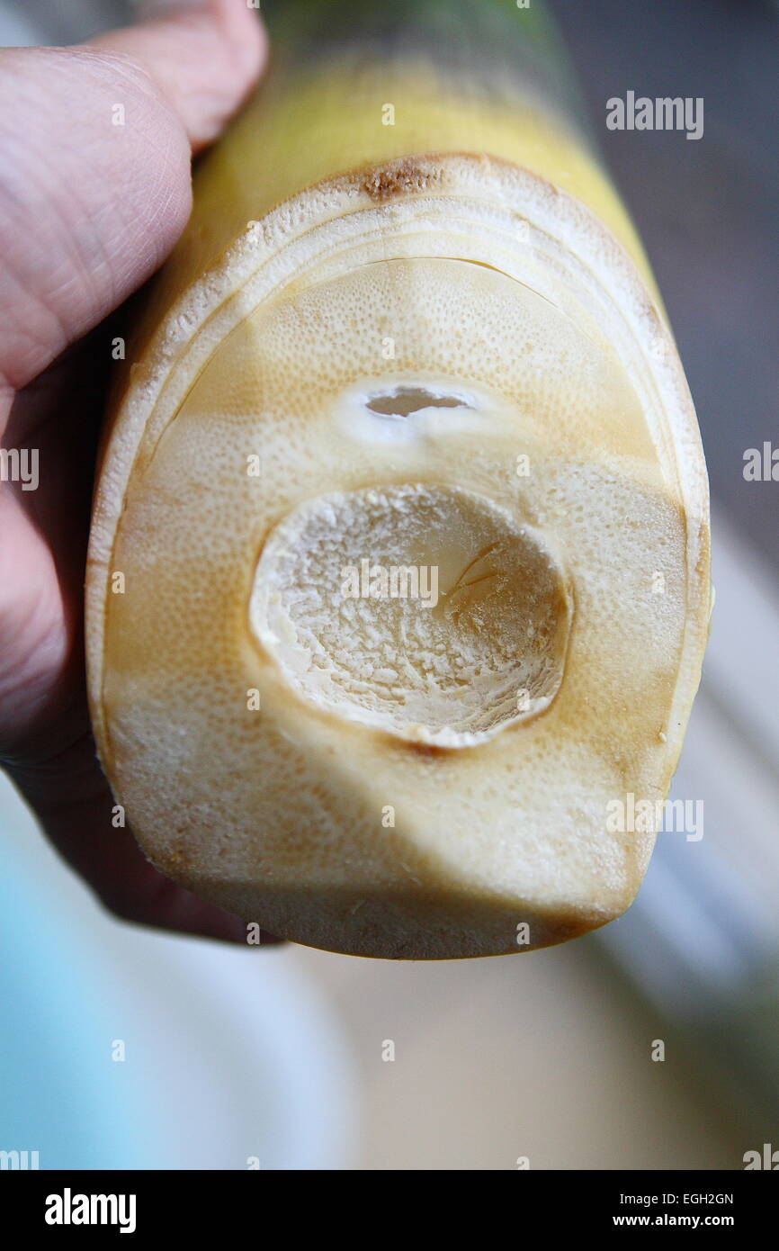 Cooking inside bamboo hi-res stock photography and images - Alamy