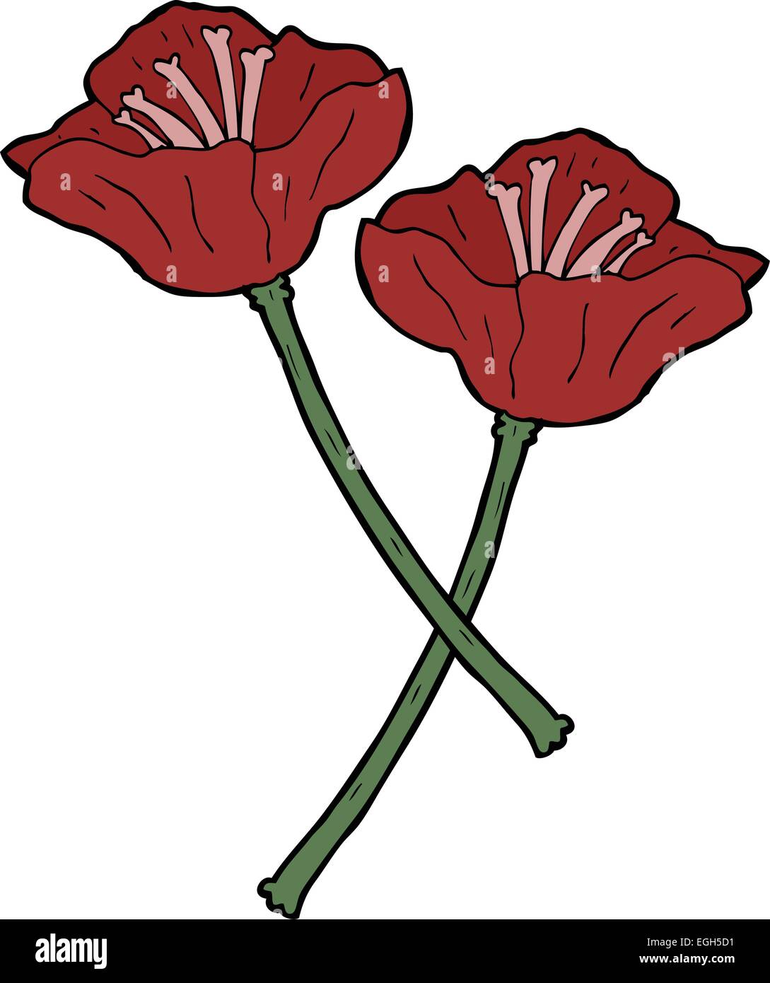 cartoon pretty tulip flowers Stock Vector Image & Art - Alamy