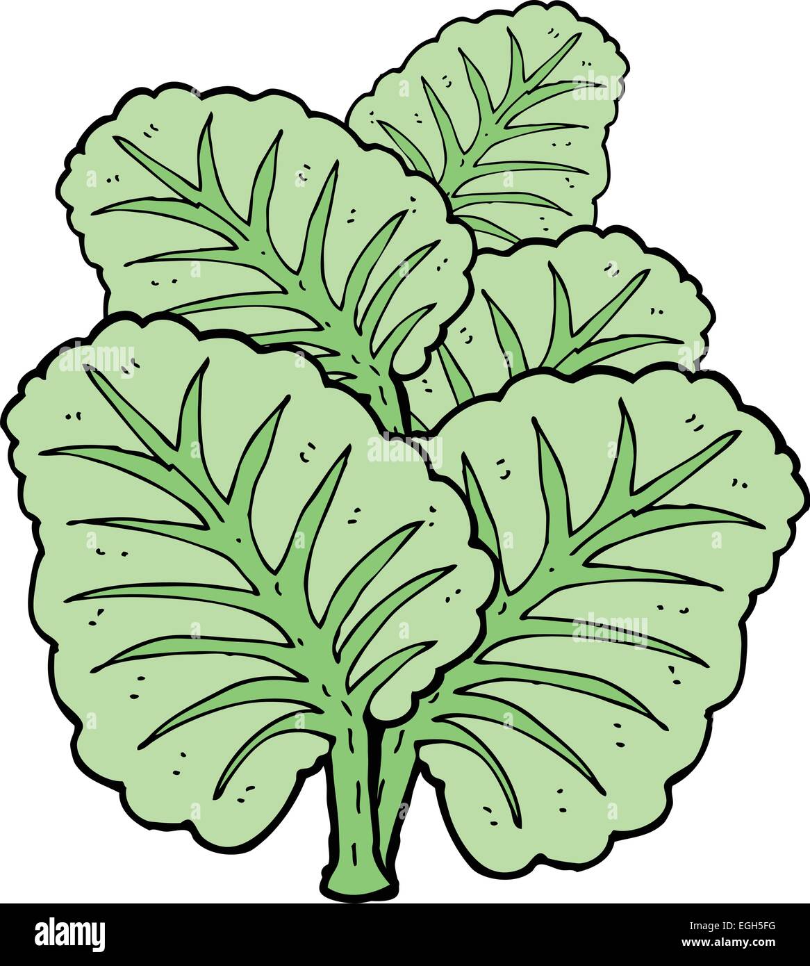 Cartoon cabbage hi-res stock photography and images - Alamy