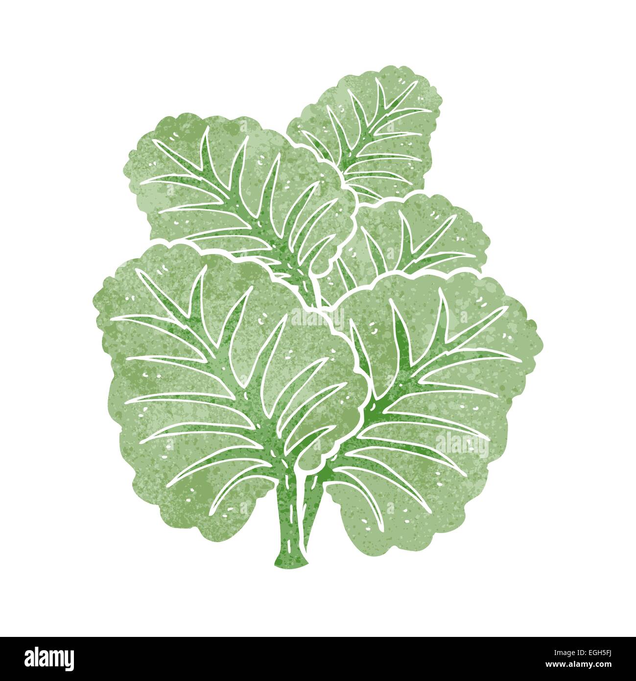 cartoon cabbage leaves Stock Vector Image & Art - Alamy