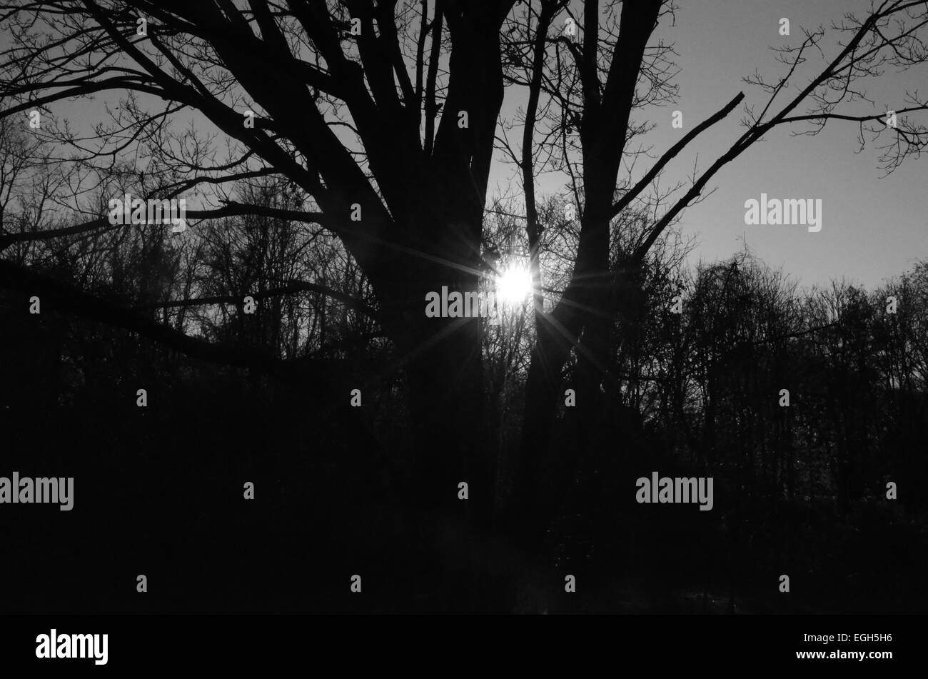 Fall is beginning Black and White Stock Photos & Images - Alamy