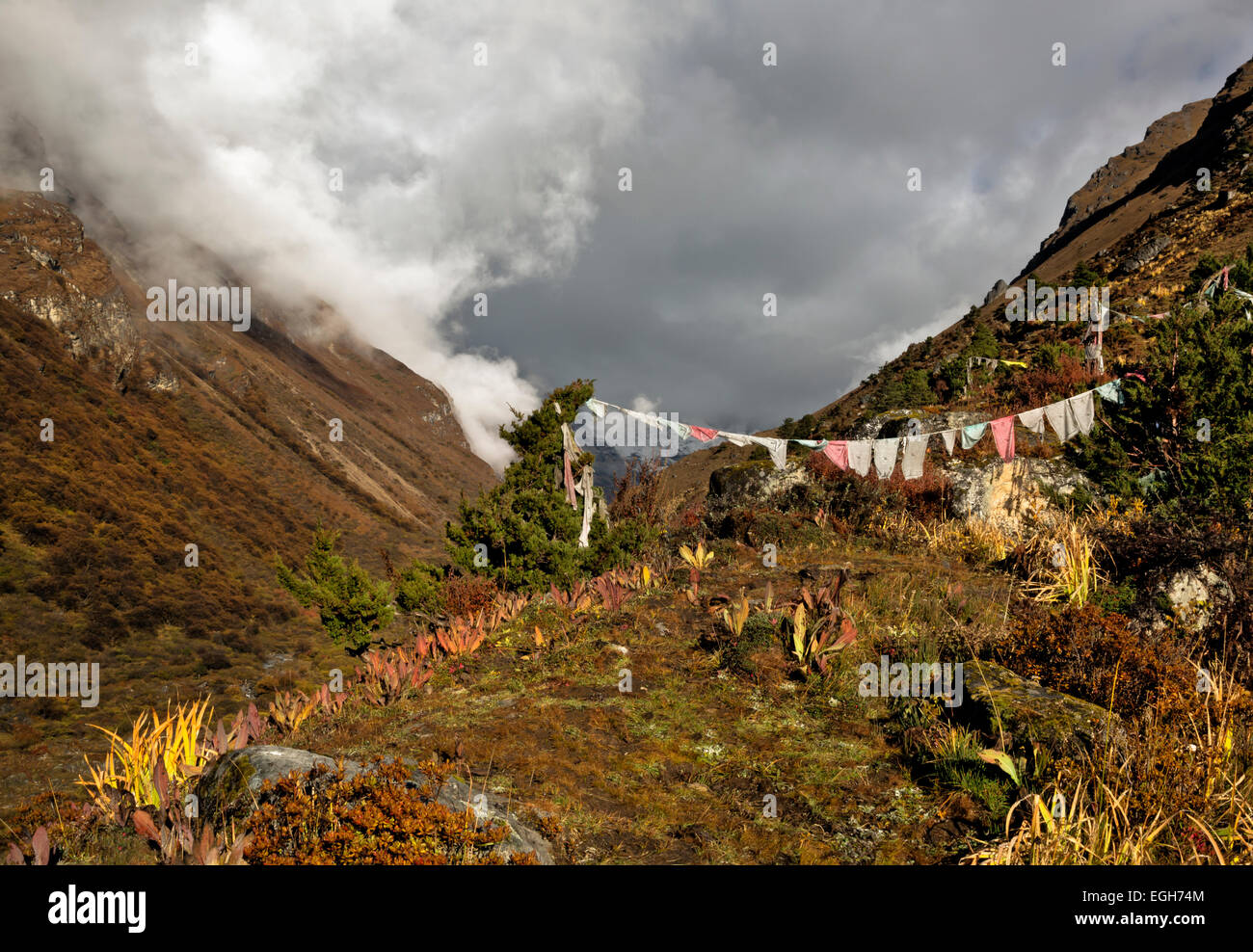 BHUTAN - A cloud covered Jhomolhari from a vantage point above the ...