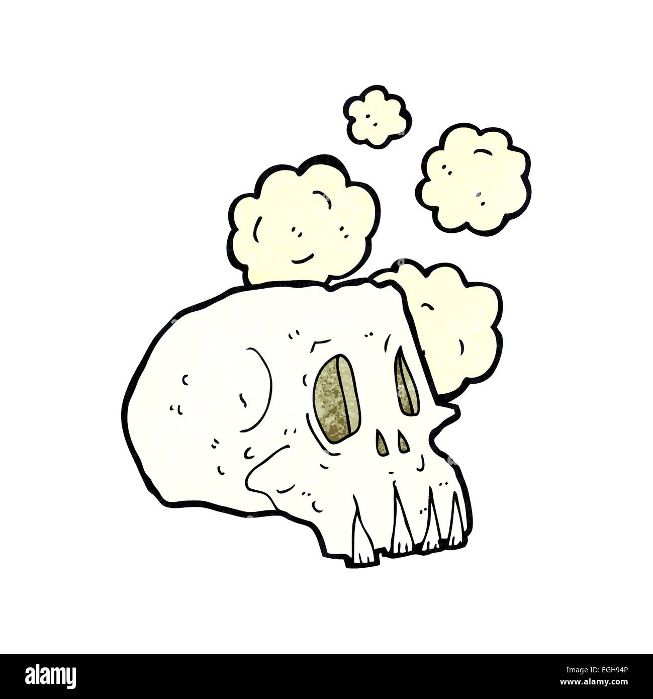 Old dusty skull hi-res stock photography and images - Alamy